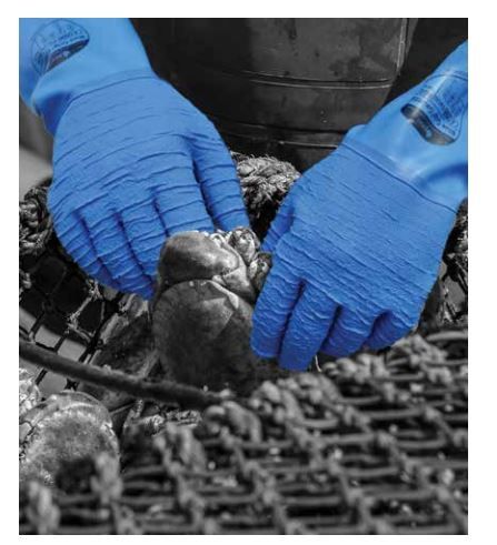 Blue Grip Gauntlet - Needlers Food Industry Specialist